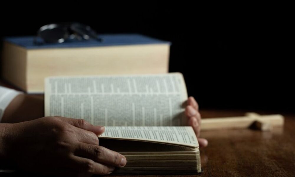 All the Fallen Booru: ATF Unique Image-Sharing Platform