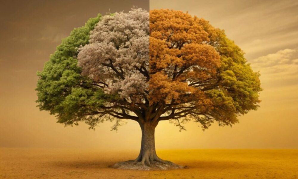 Maxim Tree vs. Other Tree Structures: What You Need to Know