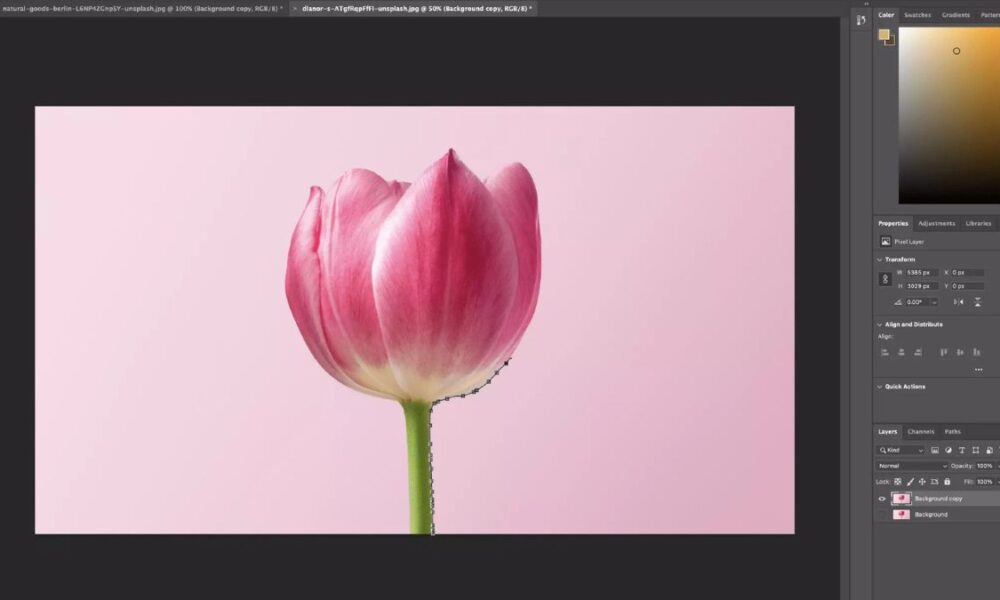How to Remove Backgrounds from Images in Photoshop