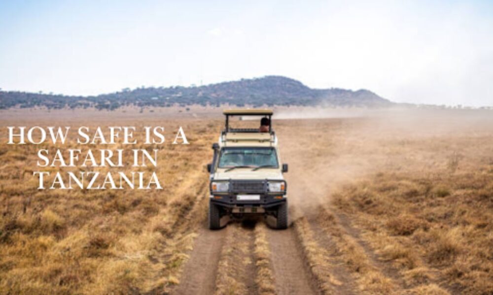 A Guide to the Best Activities at Texoma Chivette