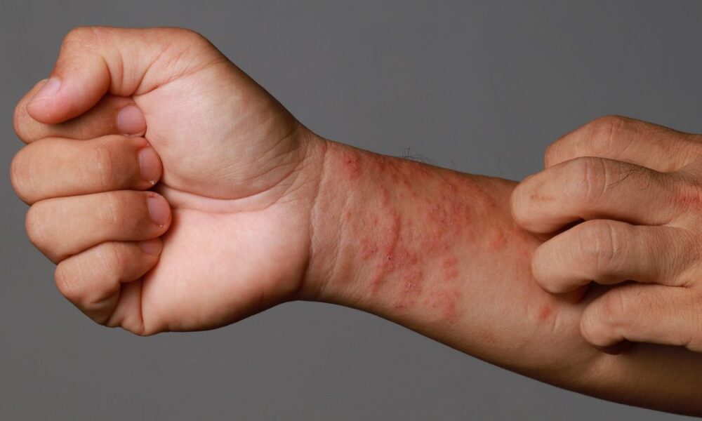 Exploring the World of ATF Booru: A Guide for Newcomers