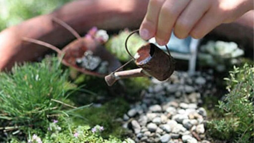 Exploring Munting: A Beginner's Guide to Miniature Gardening